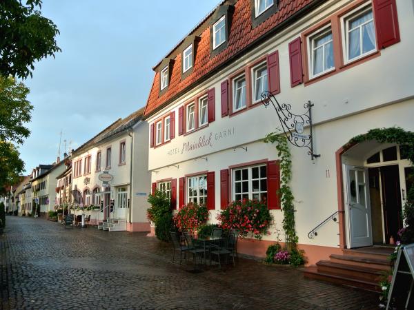 Marktheidenfeld | Spessart erleben