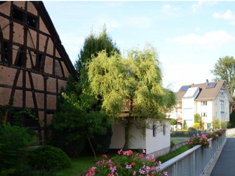 Fellen | Spessart erleben