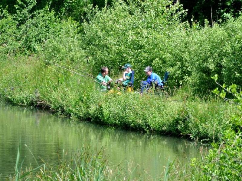 Angeln am Angelteich | Spessart erleben
