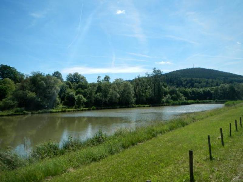 Angeln am Angelteich | Spessart erleben