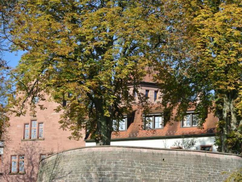 Burgführung Burg Rieneck | Spessart erleben