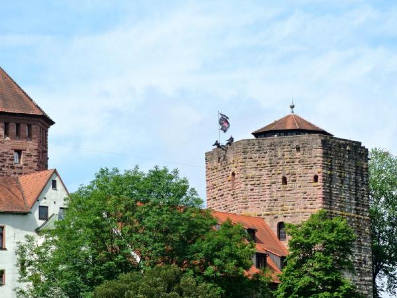 Hochseilgarten Burg Rieneck | Spessart erleben
